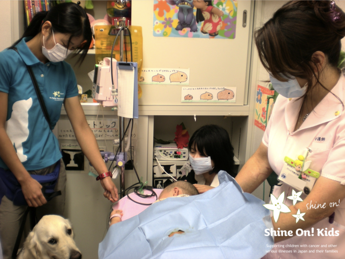 SALUS - Article - Facility dogs in children’s hospitals benefit both ...